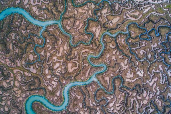 Fixed Income Outlook Q3 2020 | LGIM Adviser